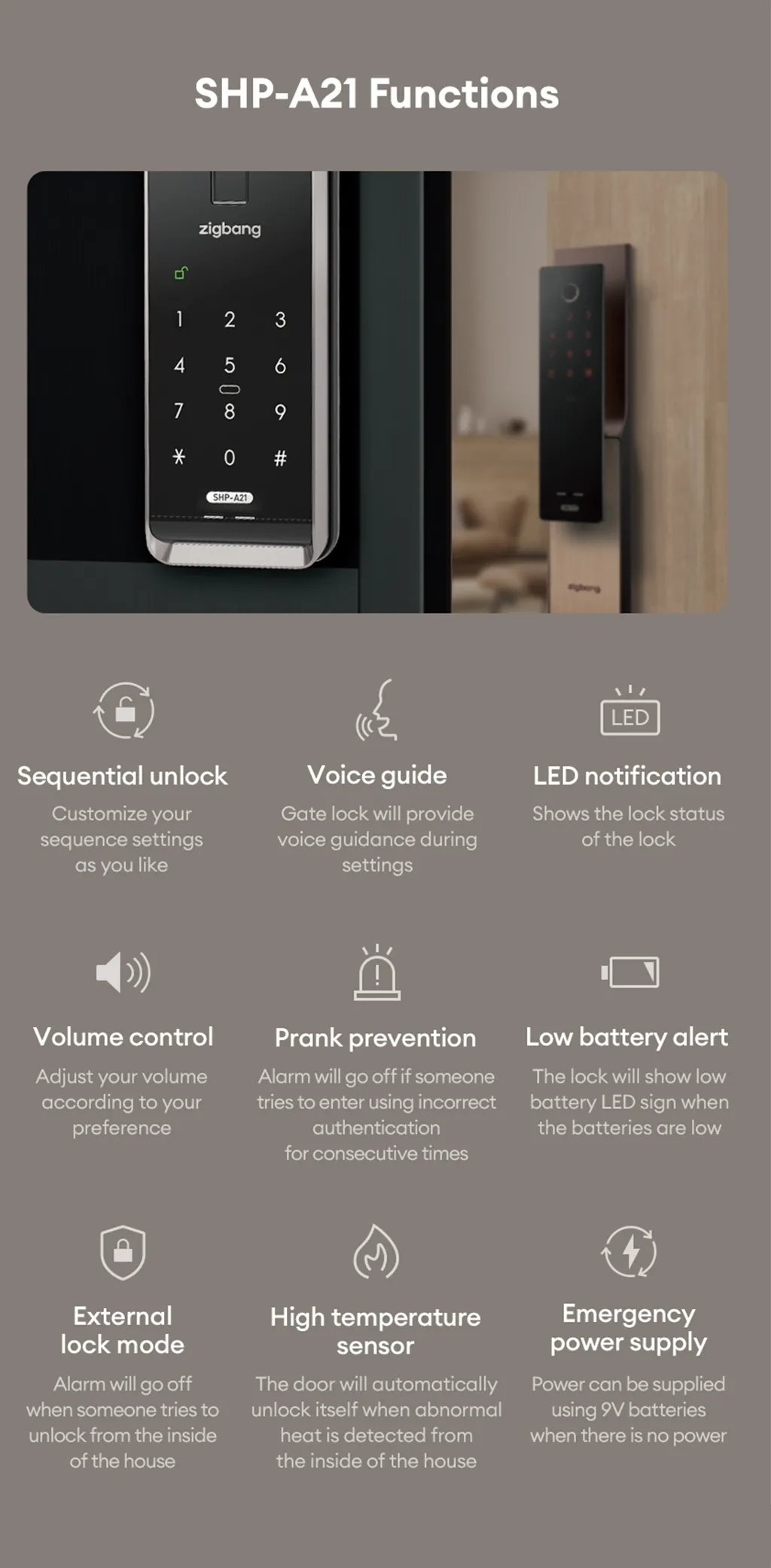 Zigbang SHP-A21 Digital Gate Lock - with Front & Back Fingerprint ...